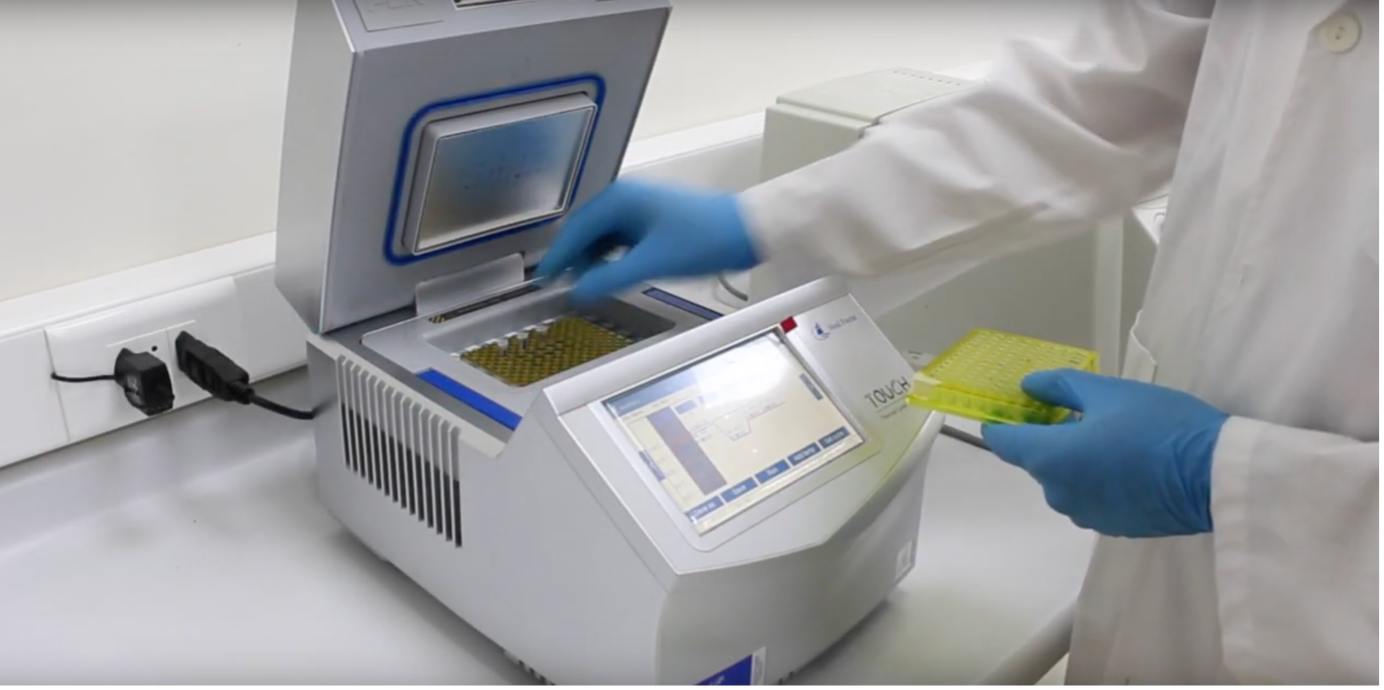 ᐈ Tecnologías de PCR en tiempo real (qPCR): principios, interpretación ...