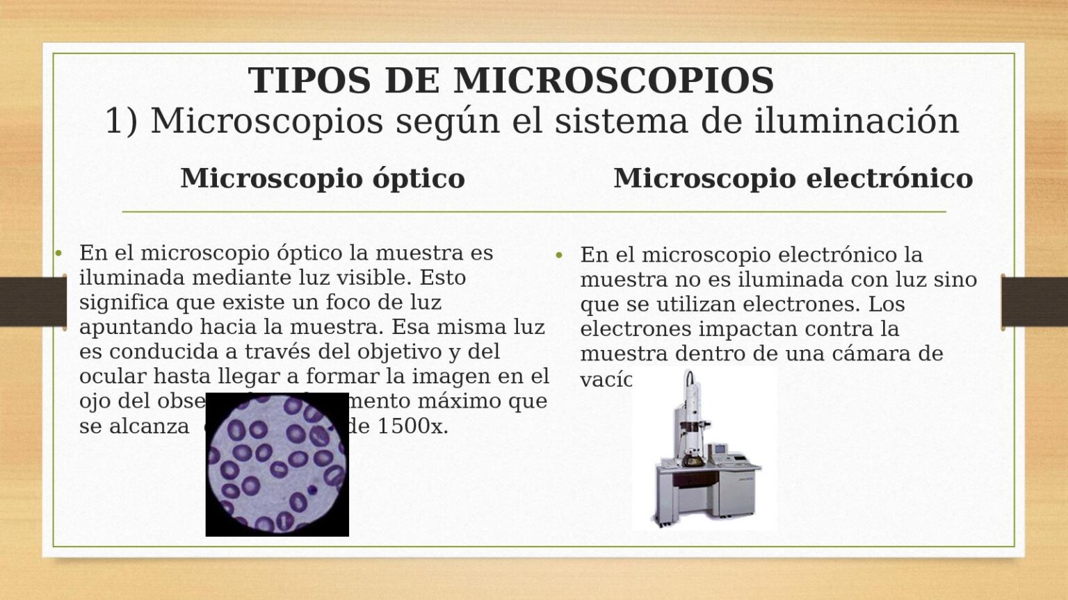 Microscopio | En Laboratorio